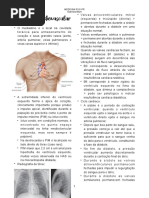 Apostila Precórdio | PDF | Ventrículo (coração) | Átrio (coração)