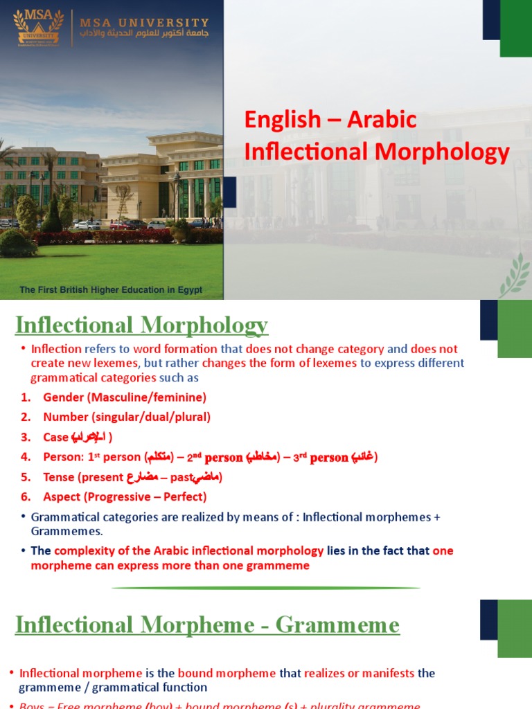 English Arabic Inflectional Morphology Pdf Grammatical Number Grammatical Gender