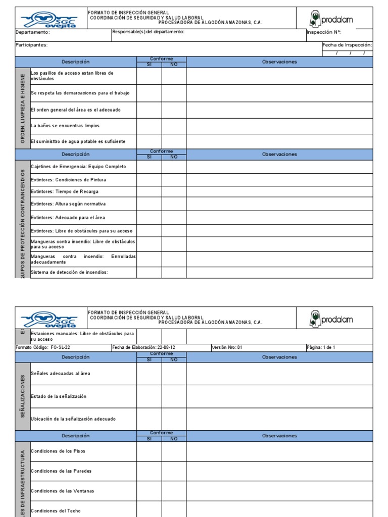Formato de Inspección General | PDF | Seguridad y salud ocupacional | La seguridad