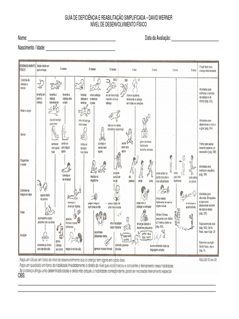 David Werner | PDF