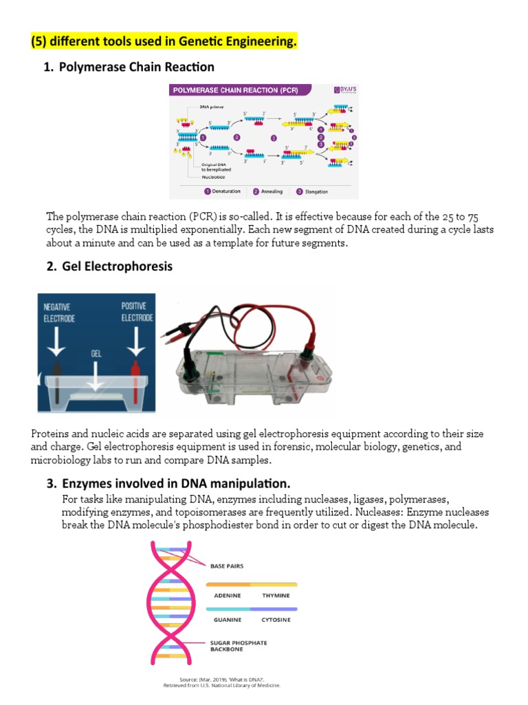 Tools Used in Genetic Engineering | PDF