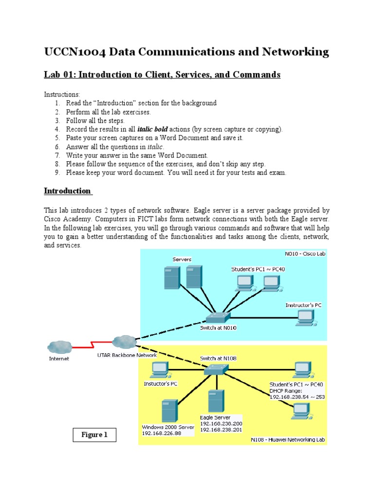 Uccn1004 Lab 01 Network Services And Commands Pdf File Transfer Protocol Ip Address