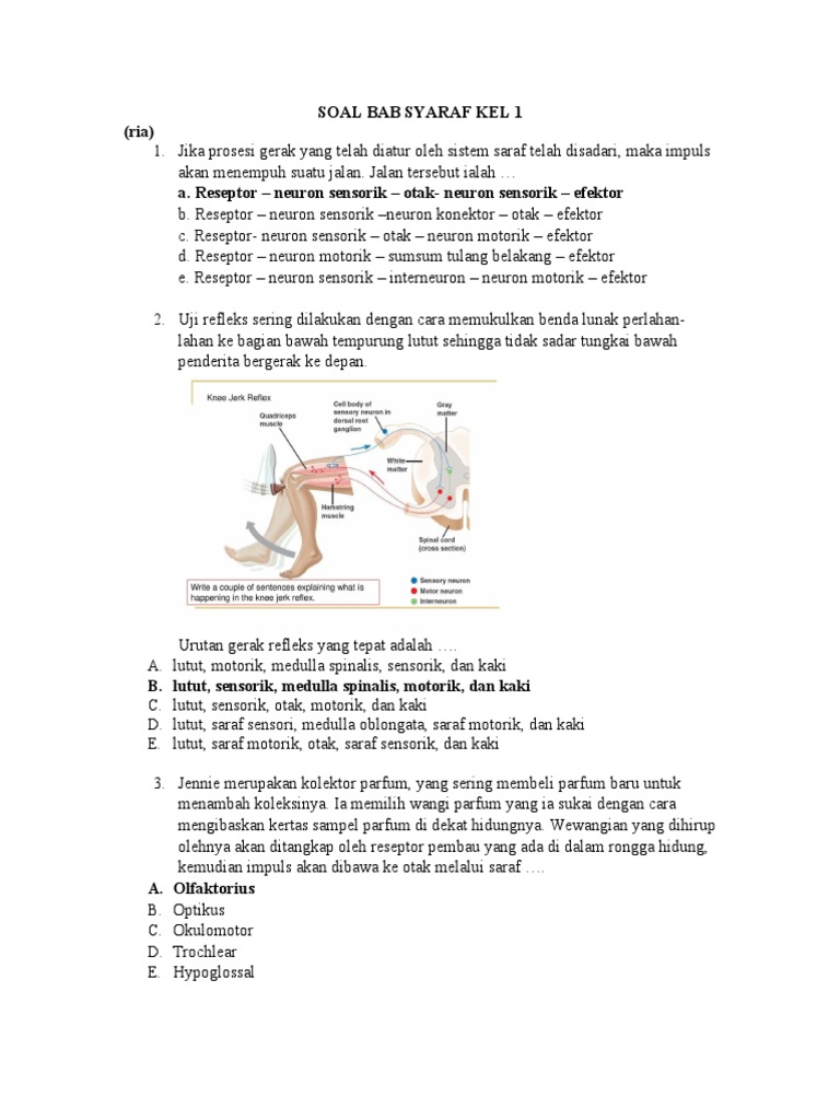 Soal Bio Bab Saraf Kel 1 | PDF | Sains & Matematika
