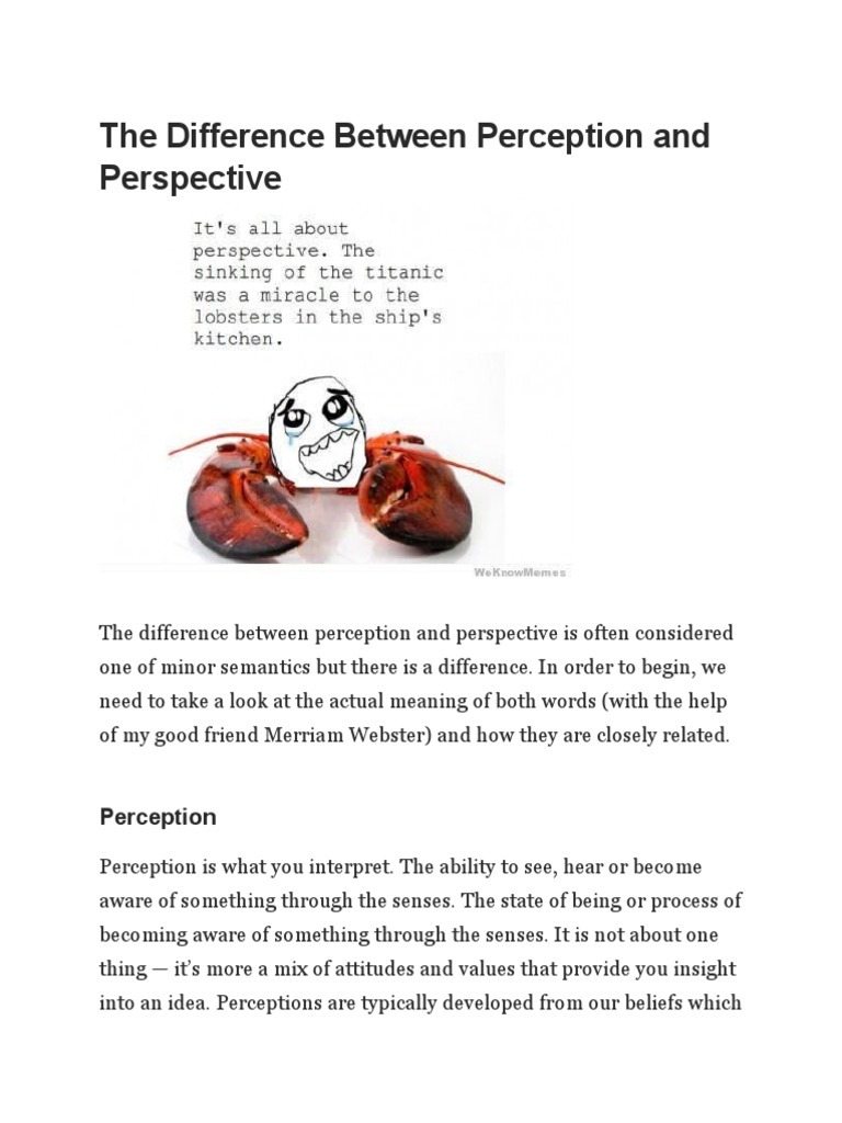 The Difference Between Perception and Perspective | PDF | Perception ...