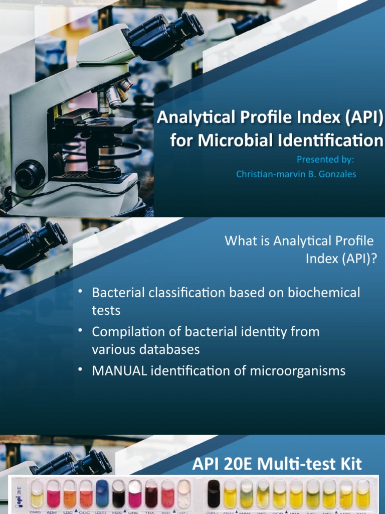 API 20E Microbial Identification Guide | PDF | Technology & Engineering