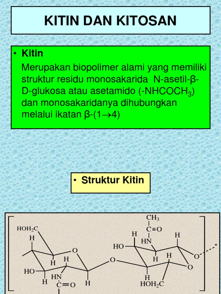 Kitin Dan Kitosan | PDF