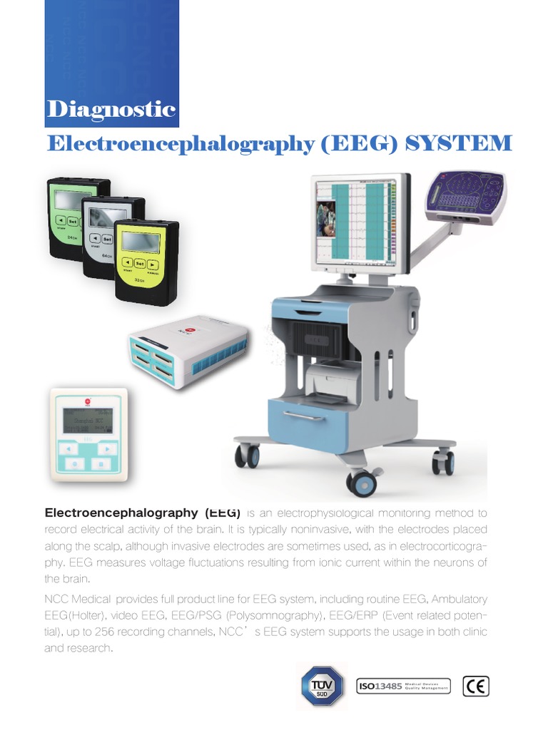 EEG Catalogue | PDF | Electroencephalography | Event Related Potential