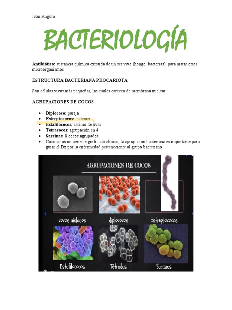 Bacterio | PDF | Penicilina | Las bacterias
