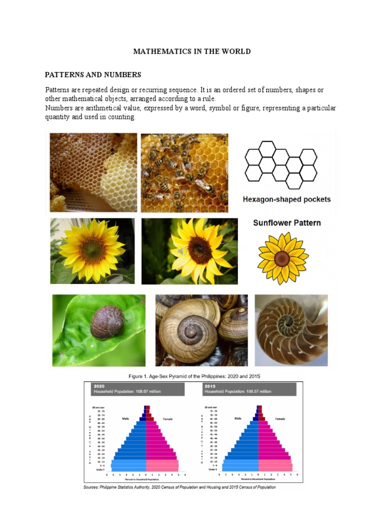 Mathematics in The Modern World | PDF | Mathematics | Science