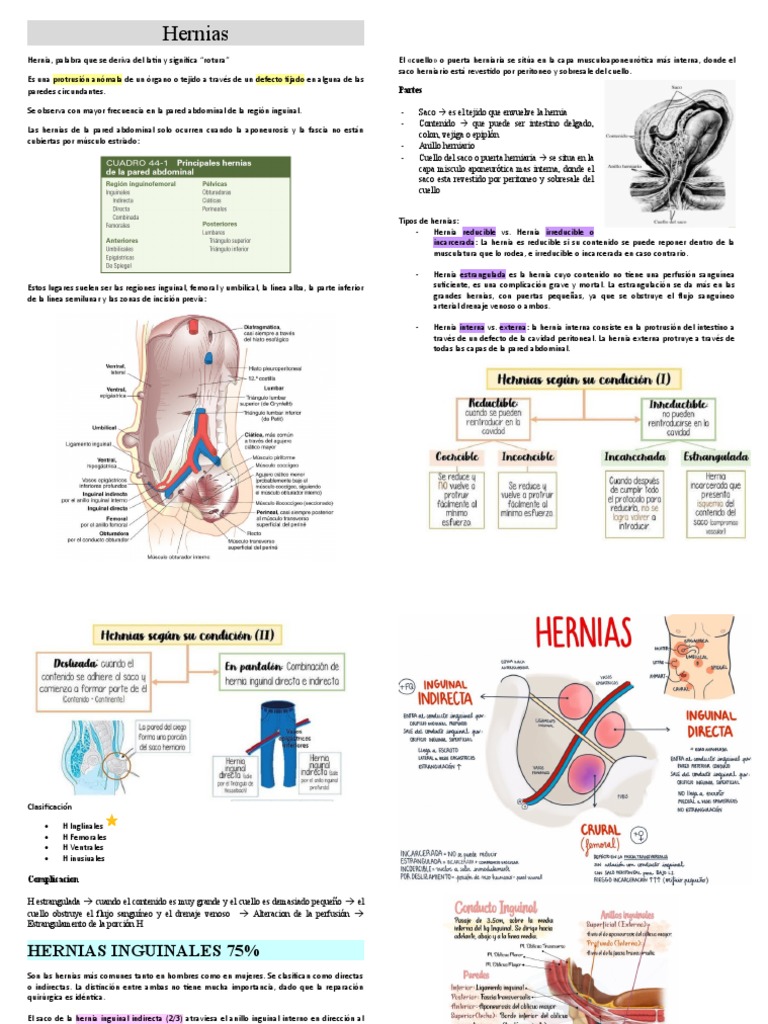 Hernias Parte 1 | PDF | Abdomen | Especialidades Medicas