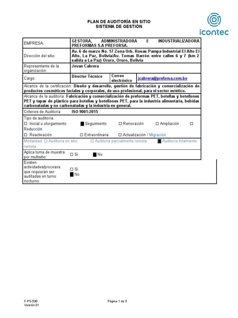 Modelo de Un Plan de Auditoria | PDF | Auditoría | Economias