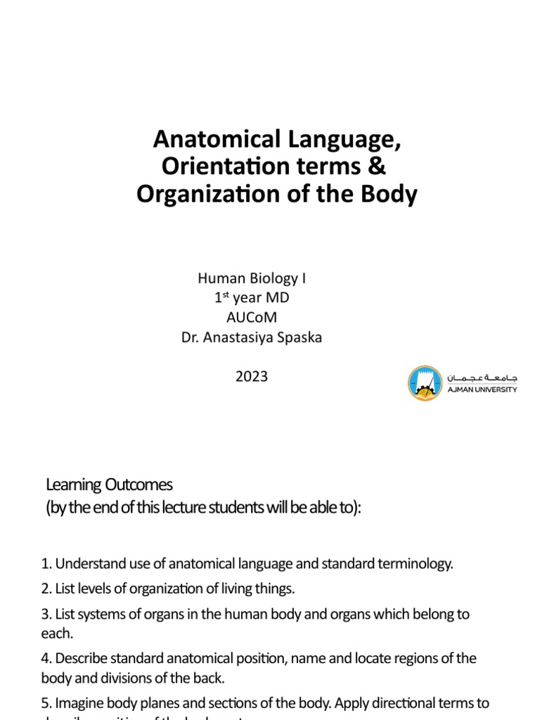 Anatomy Basics for 1st Year MD Students | PDF | Anatomical Terms Of ...