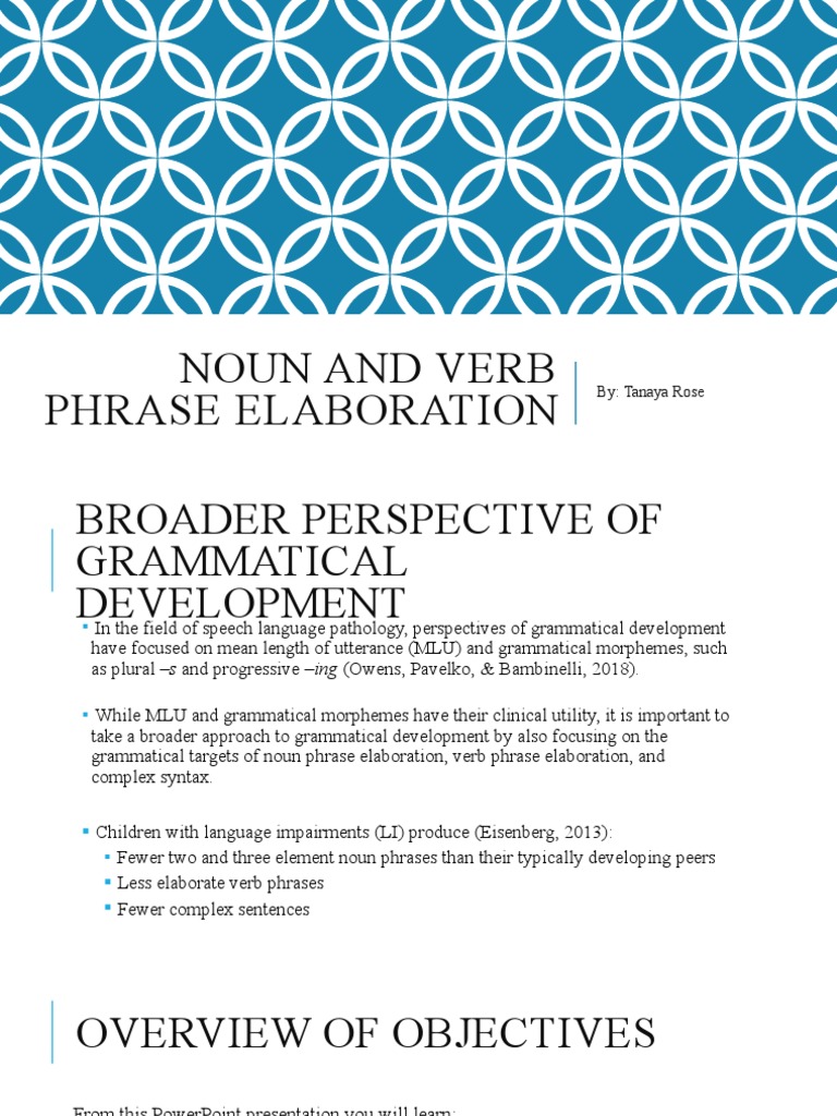 Noun and Verb Phrase Elaboration | PDF | Noun | Verb