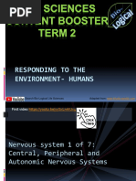 Grade 12 Year Note - New | PDF | Meiosis | Dominance (Genetics)