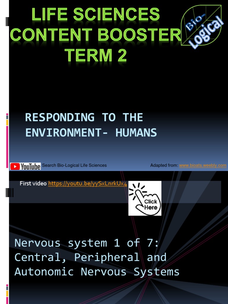 Responding To The Environment Humans | Download Free PDF | Central ...