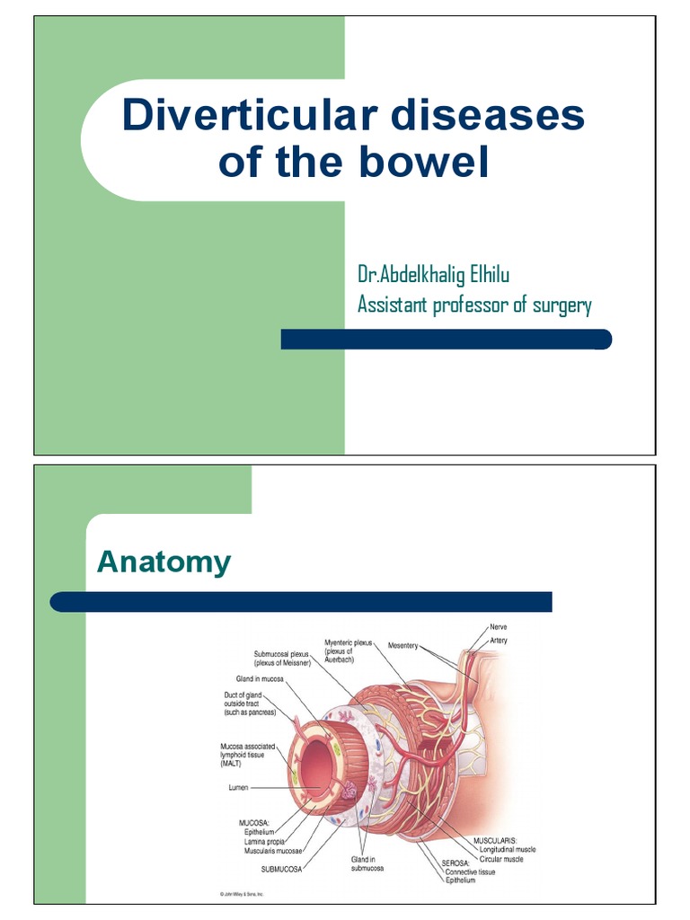 Understanding Diverticular Diseases | PDF | Digestive System | Medical ...