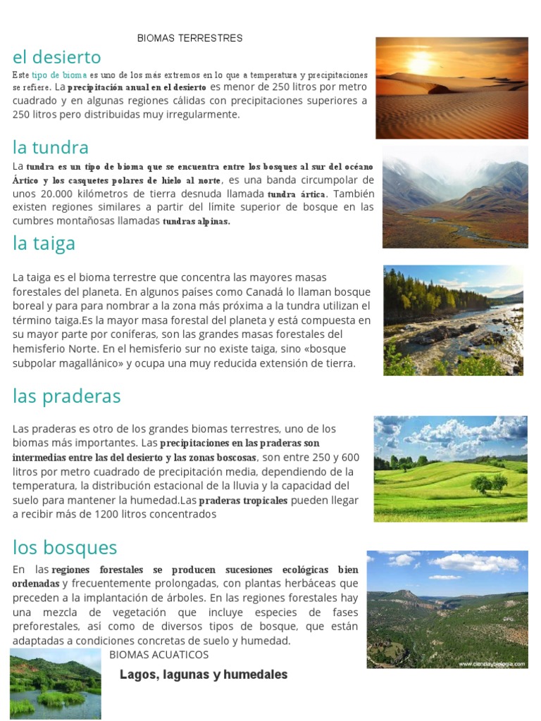 Tipos de Biomas Terrestres y Acuáticos | PDF | Ciencias de la Tierra ...