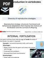 Grade 12 Life Science Human Reproduction Notes | PDF | Menstrual Cycle ...