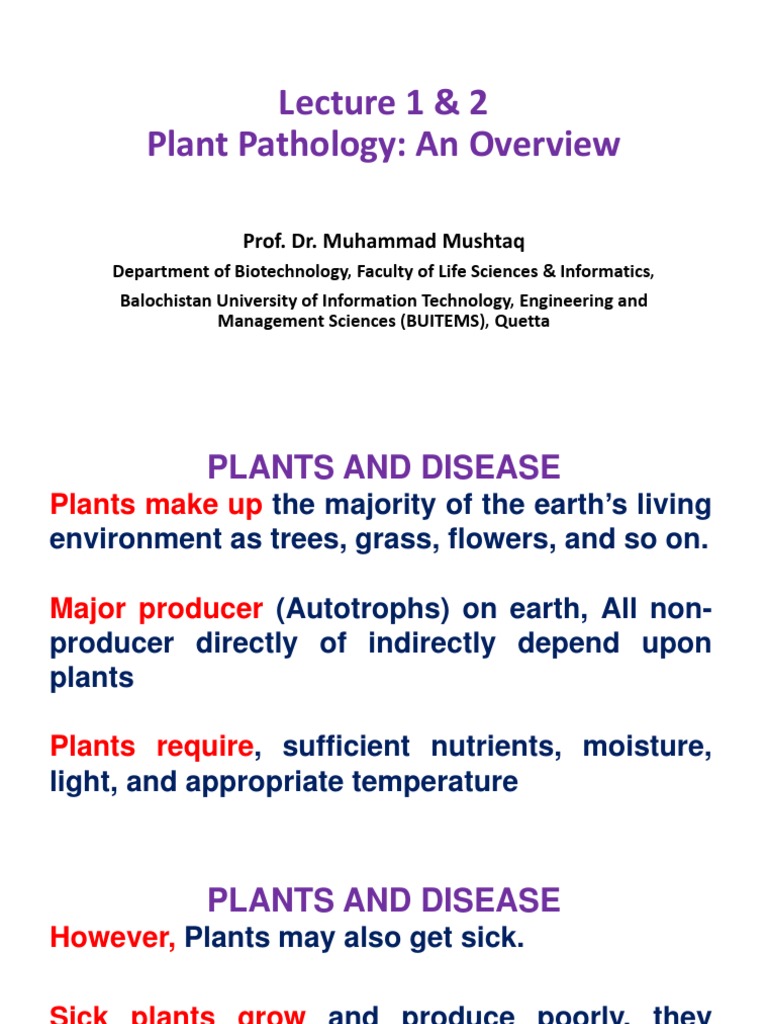 Plant Patology - An Overview | PDF | Plant Pathology | Plants