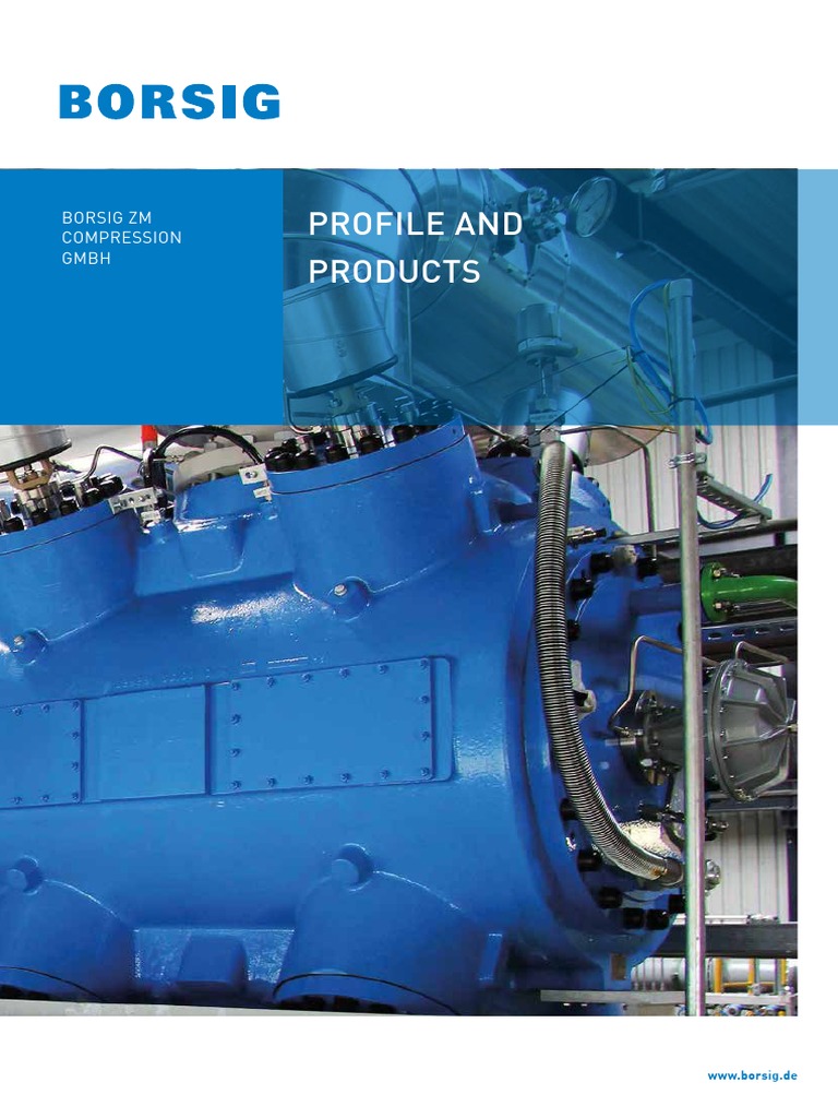 BORSIG ZM Profiles - Internet | PDF | Mechanical Engineering
