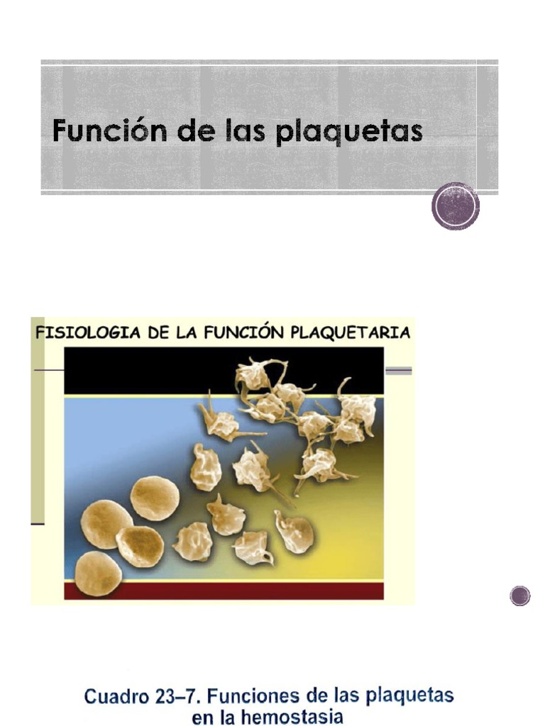 FUNCIÓN DE LAS PLAQUETAS | PDF | Plaqueta | Hemostasia