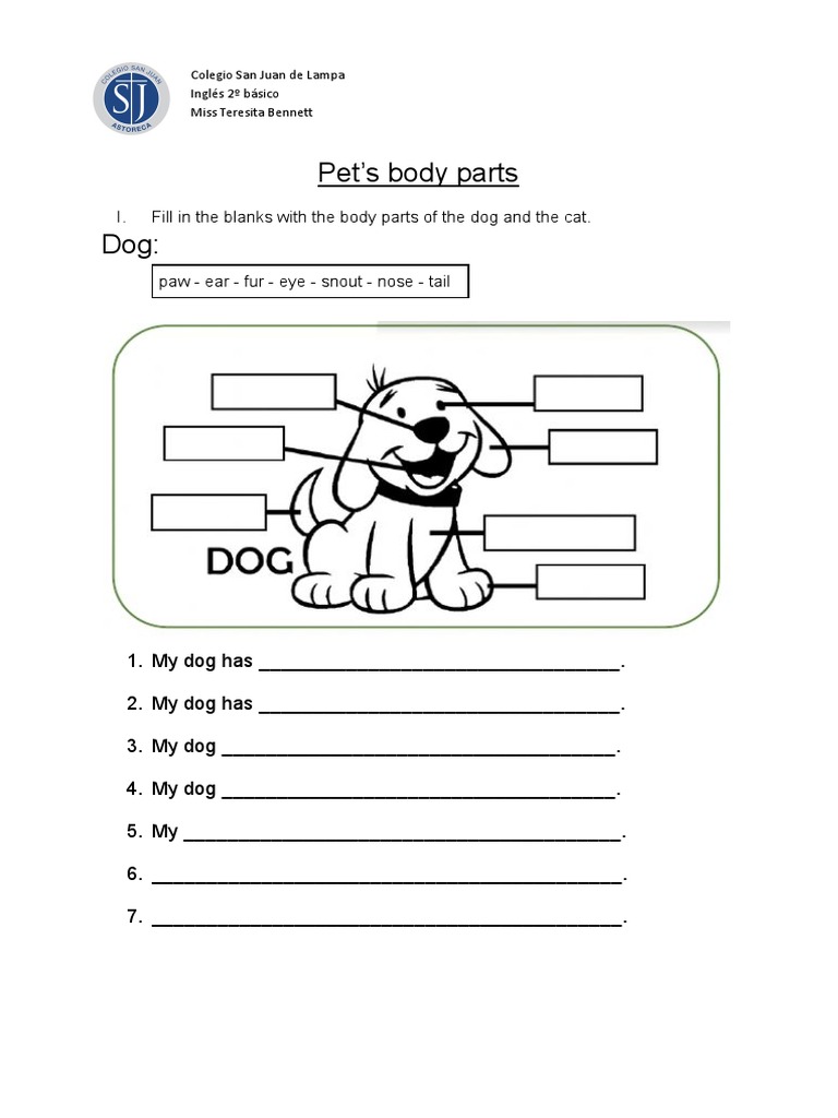 Pet Body Parts Worksheet Grade 2 | PDF | Language Arts & Discipline