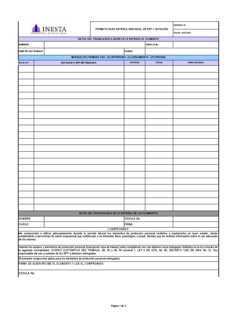 Formato Entrega Individual Epp | PDF