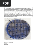 CFU Formulae With Correction Table | PDF