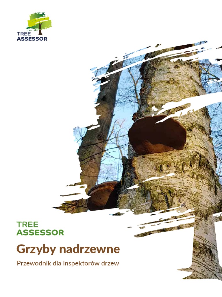 O4_Grzyby_nadrzewne | PDF