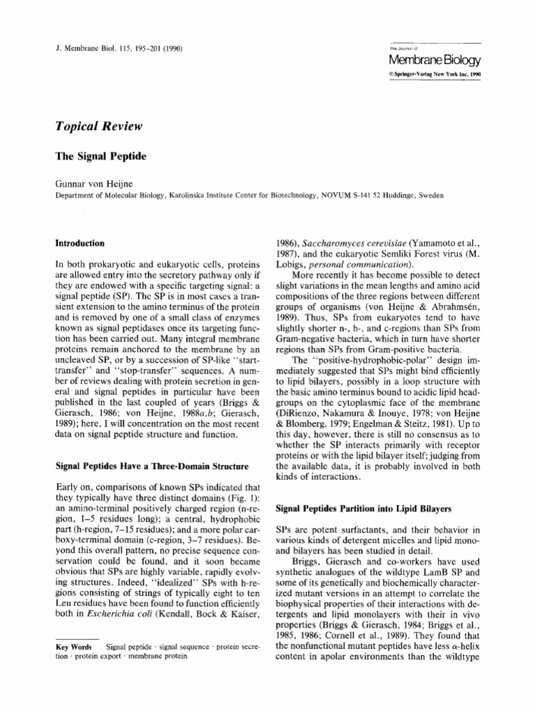 The Signal Peptide | PDF | Protein Targeting | Proteolysis
