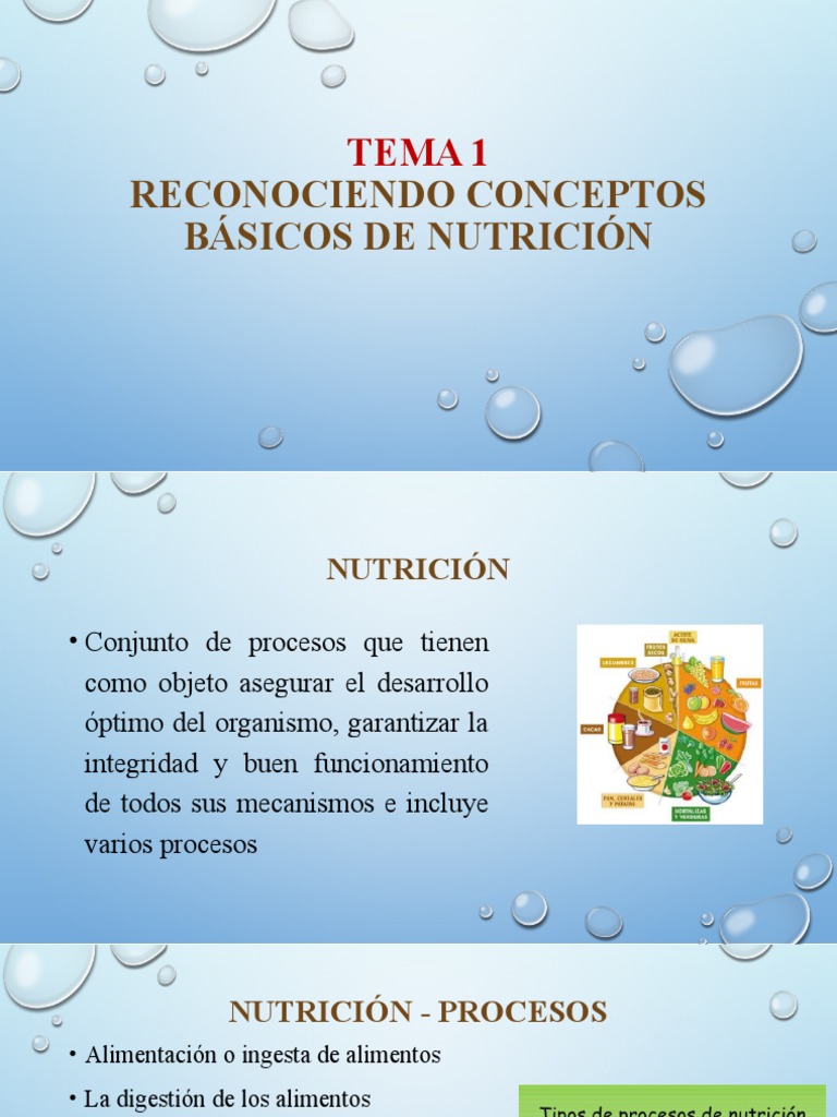 Conceptos Básicos de Nutrición | PDF | Nutrición | Dieta y nutrición