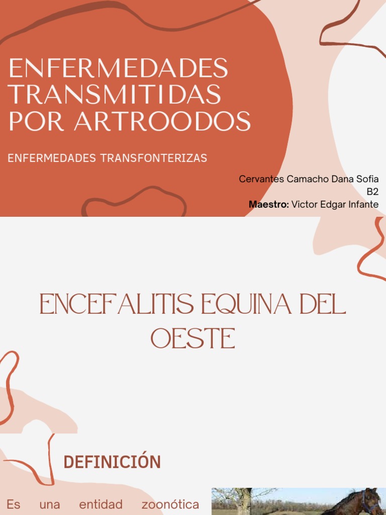 Encefalitis Equina del Oeste: Guía Completa | PDF | Virus ...