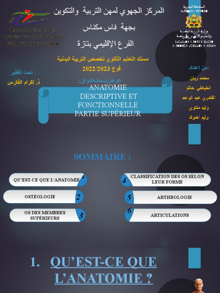 Exposé de L'anatomie FINAL-1 | PDF | Articulation (anatomie) | Anatomie humaine