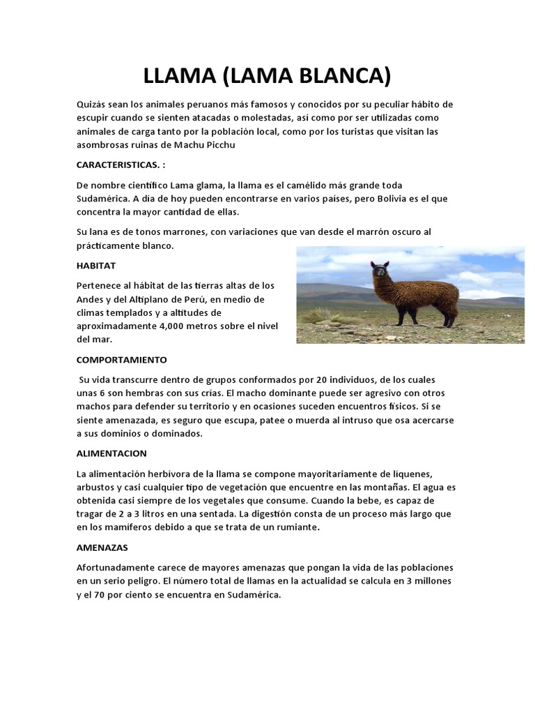 LLAMA | PDF