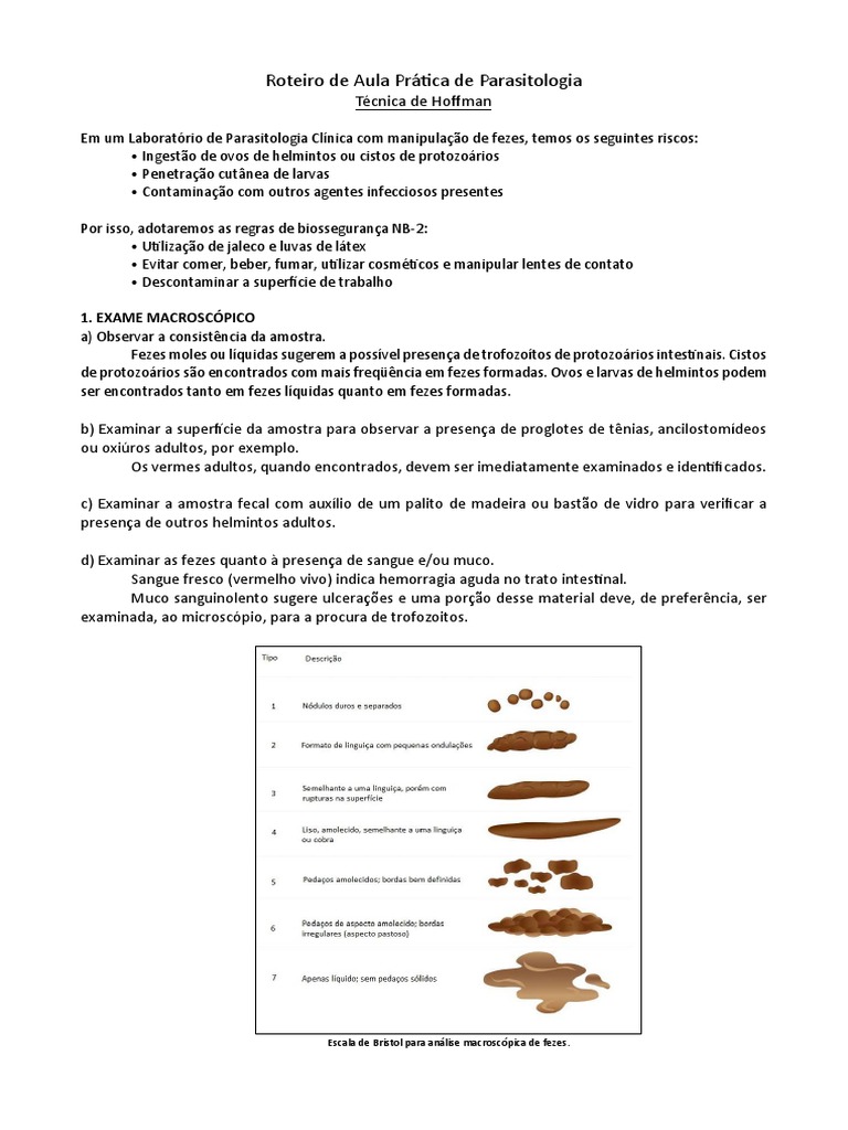 Roteiro de Aula Prática de Parasitologia - Hoffman | PDF