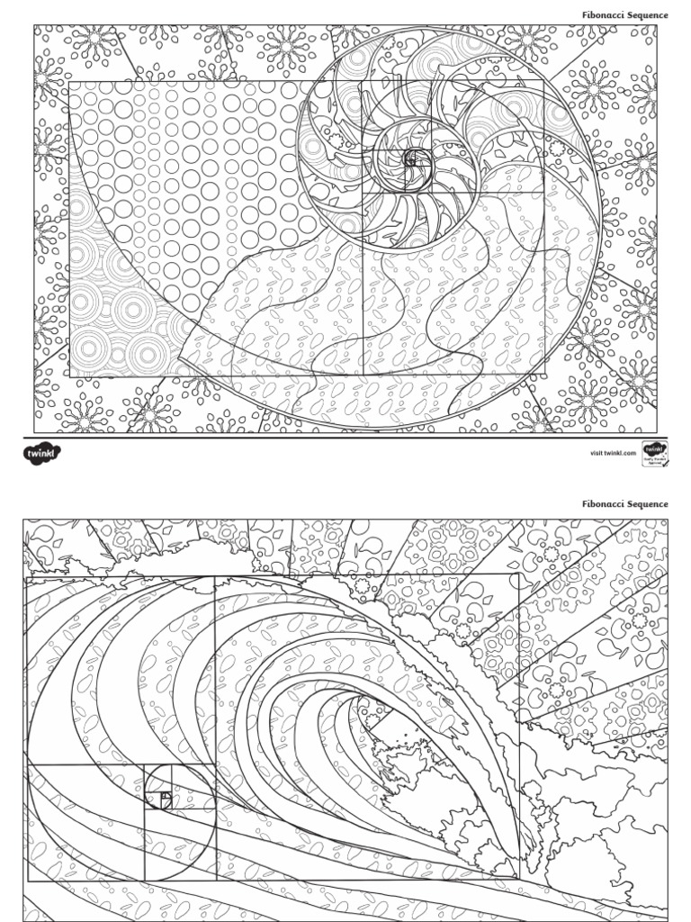 Cfe M 186 Fibonacci Sequence in Nature Mindfulness Colouring Pages Ver ...