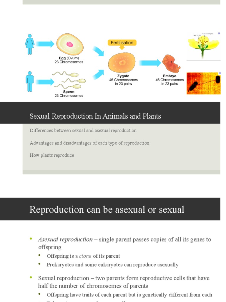 Chapter 7, Sexual Reproduction in Animals and Plants | PDF | Sexual ...