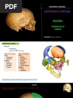 Fracturas de Cotilo: Clasificación y Tratamiento | PDF | Pelvis ...