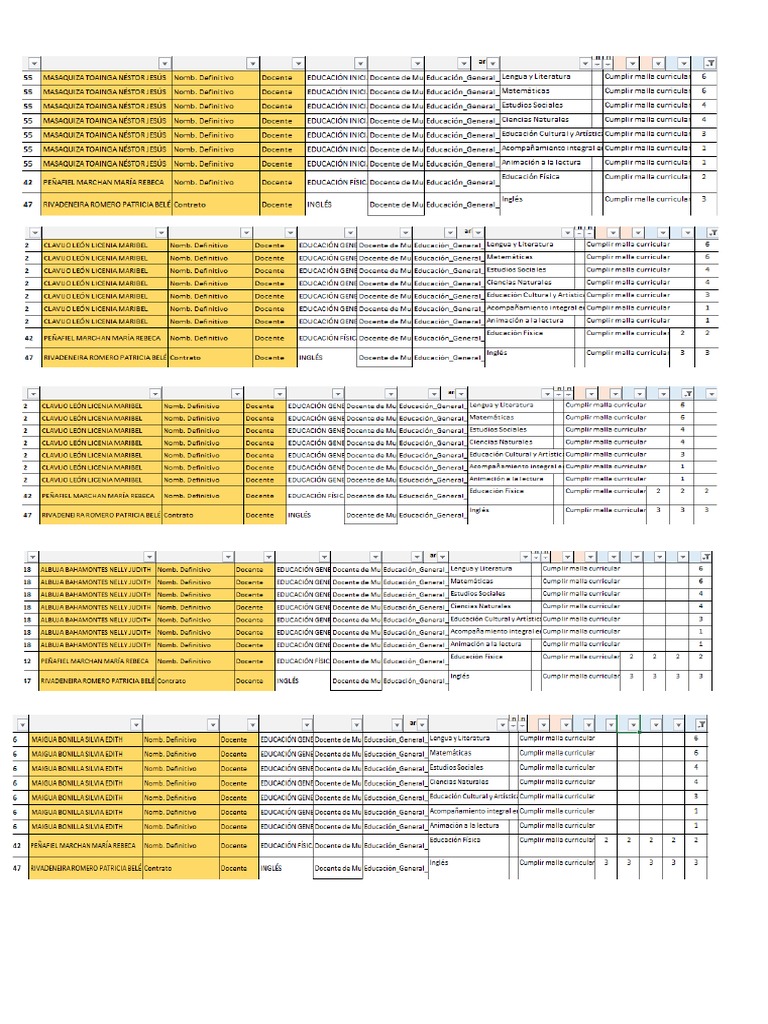 Carga Horaria 23 24 Docentes Pdf