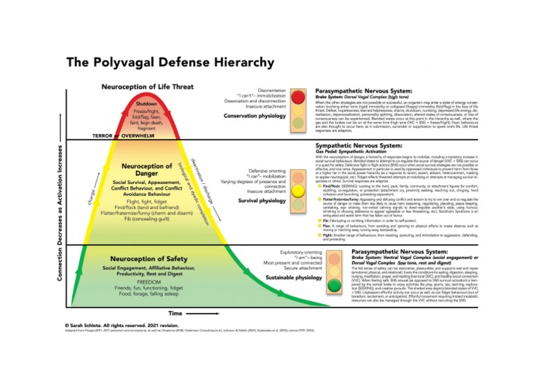Polyvagal Defense Heirarchy | PDF