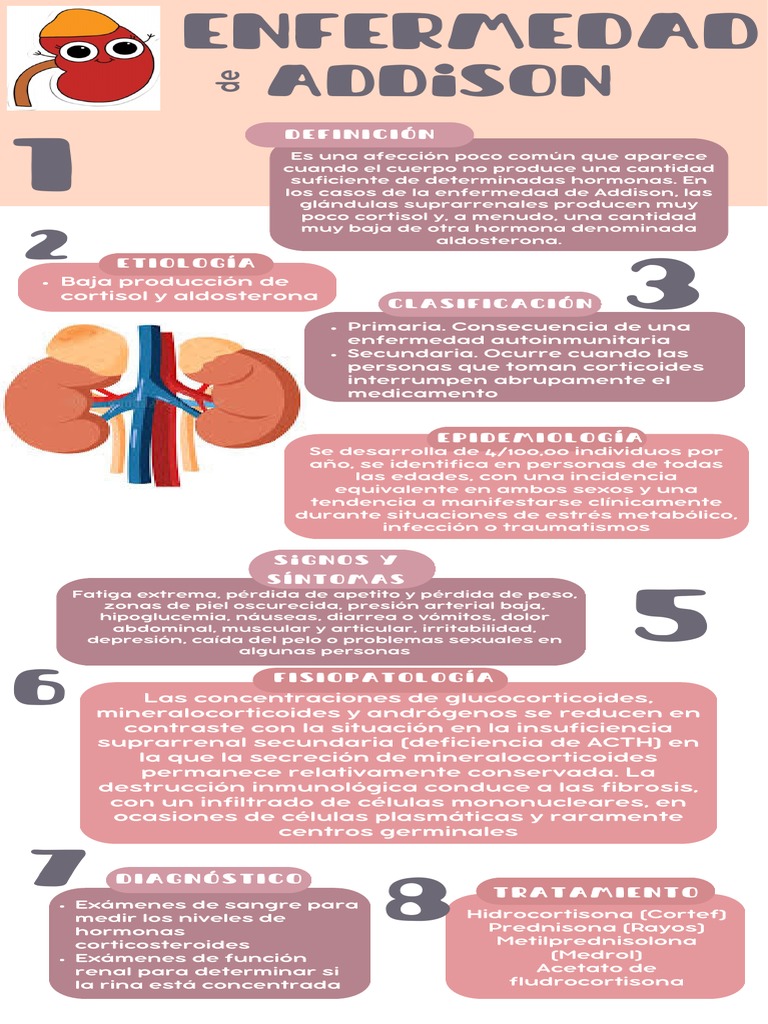 Infografia Enfermedad de Addison | PDF | Glándula suprarrenal | Glucocorticoides