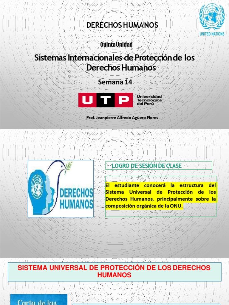 Sistema de Protección de DDHH | PDF | Naciones Unidas | Relaciones internacionales