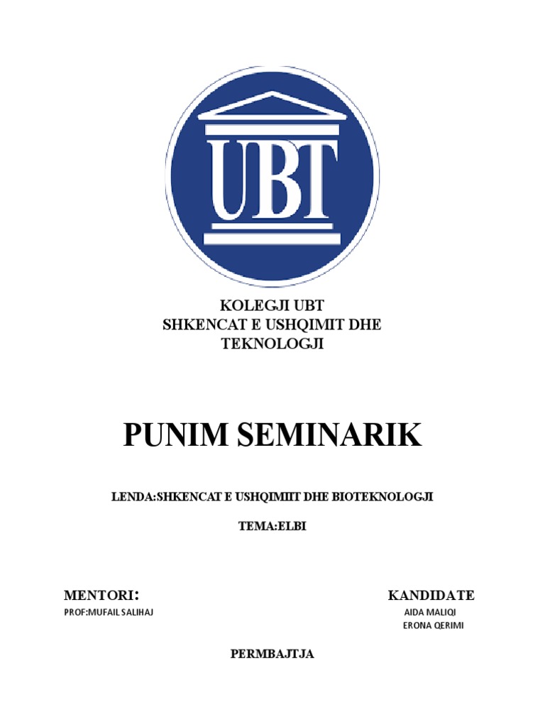 ELBI Punim Seminarik | PDF