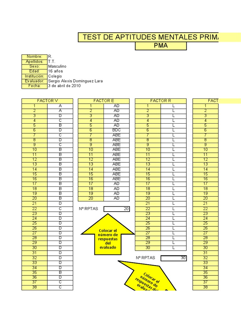 Aptitudes Mentales Primarias-Pma Reporte-N | PDF