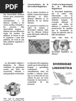 Emma Ivanovic (1944-2007) | PDF | Antropología | Interculturalidad