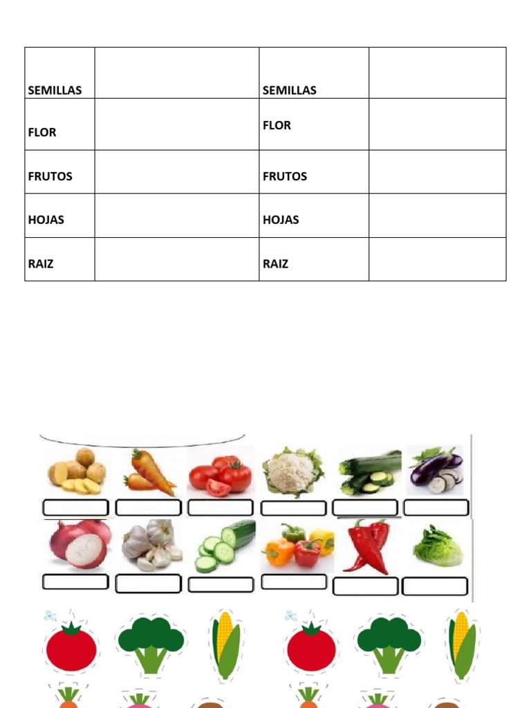 Partes Comestibles de Las Plantas | PDF
