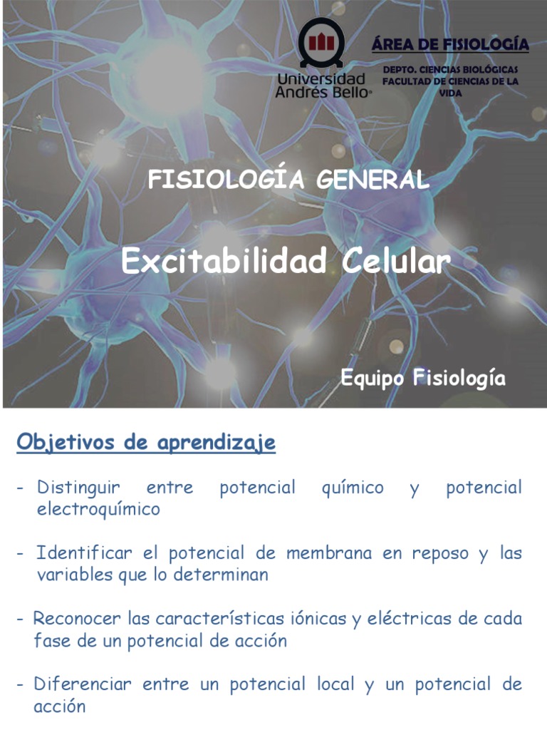 Clase 1 Excitabilidad Celular | Descargar gratis PDF | Potencial de ...