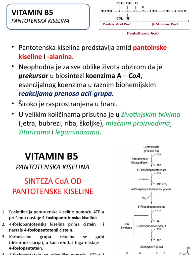 Biohemija Vitamini | PDF