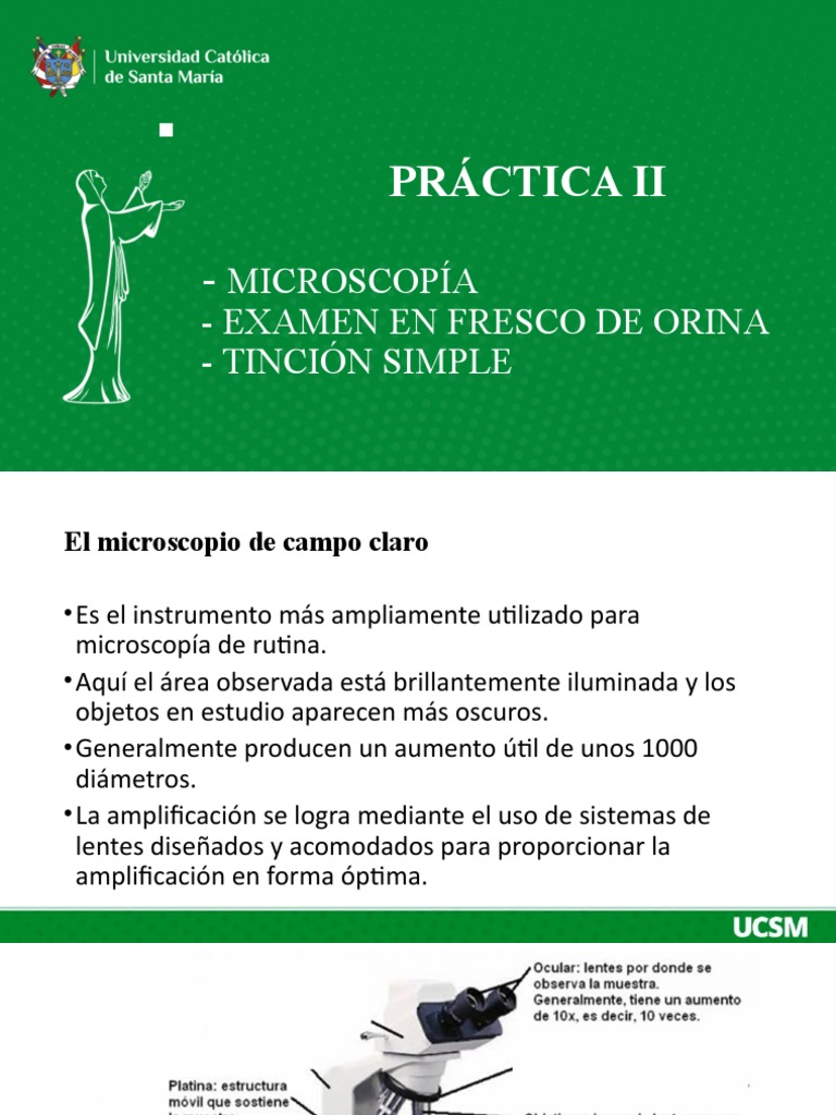 Practica II Microscopía, Examen Freso, Tinción Simple | PDF | Tinción | Biología Celular)