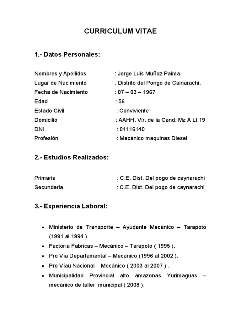 CV Jorge Luis Muñoz Paina | PDF